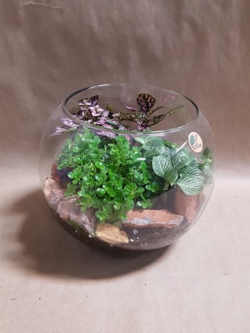 Terrarium, Bubble Bowl | Karthauser & Sons, Inc